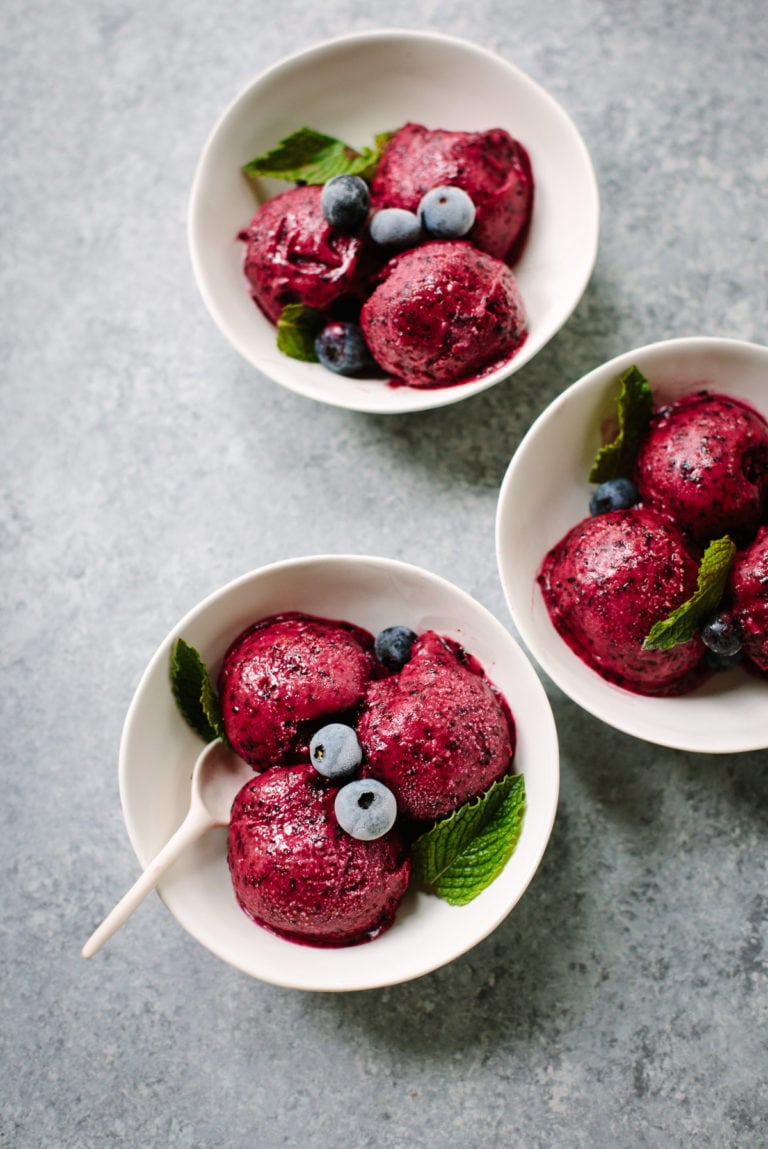 Three-Ingredient Blueberry Sorbet - Familystyle Food