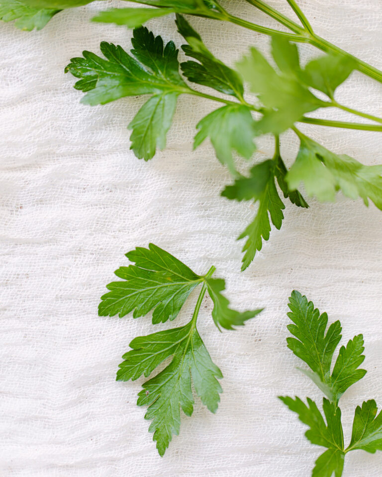 How to Chop & Store Parsley (Fresh All Week!) - Familystyle Food