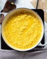 Arborio Rice Risotto with Parmesan Cheese - Familystyle Food