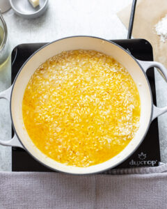 Arborio Rice Risotto with Parmesan Cheese - Familystyle Food