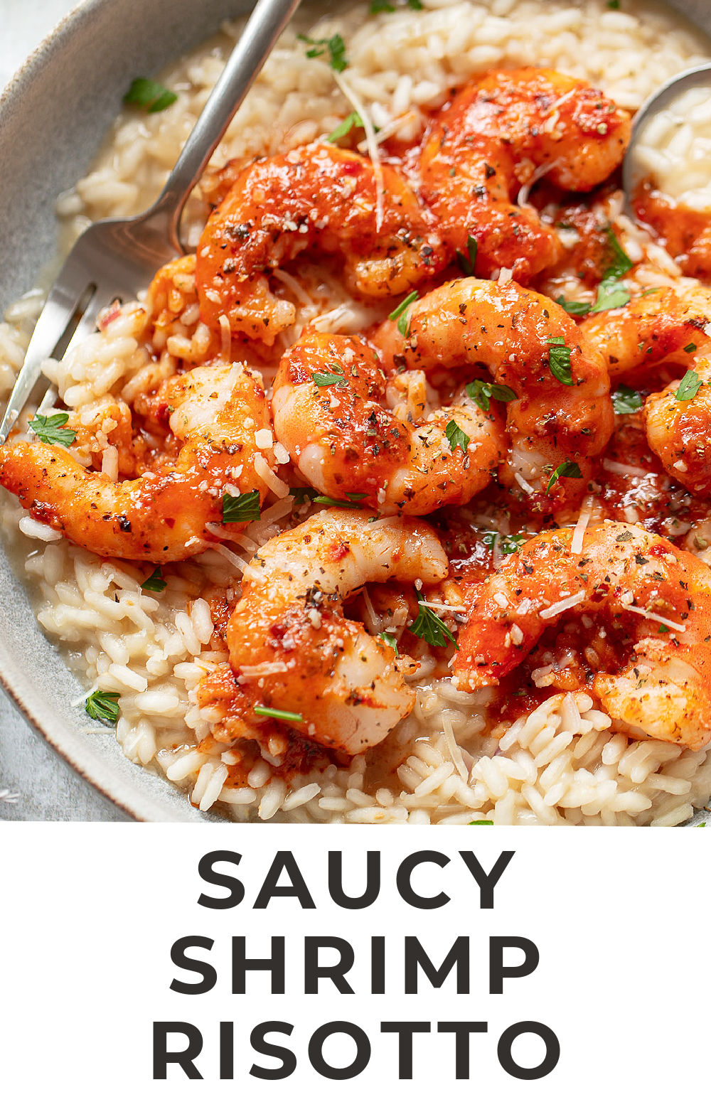 Sautéed Shrimp Risotto with Tomato Butter Sauce - Familystyle Food